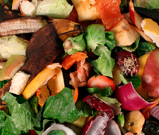 Food waste Disposal & Anaerobic digestion