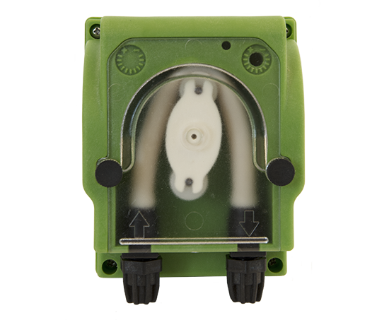 Dosing pumps for detergent and rinse aid